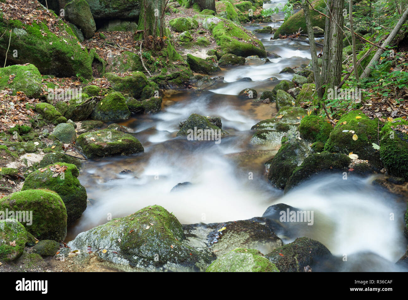 Nata river hi-res stock photography and images - Alamy