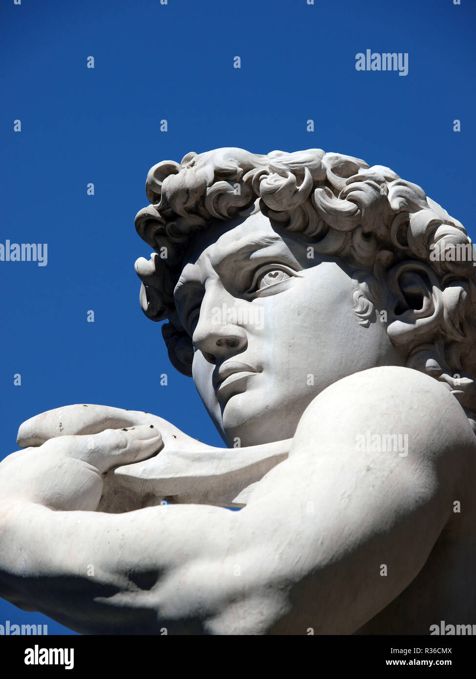 Florence - The statue of David by Michelangelo Stock Photo - Alamy