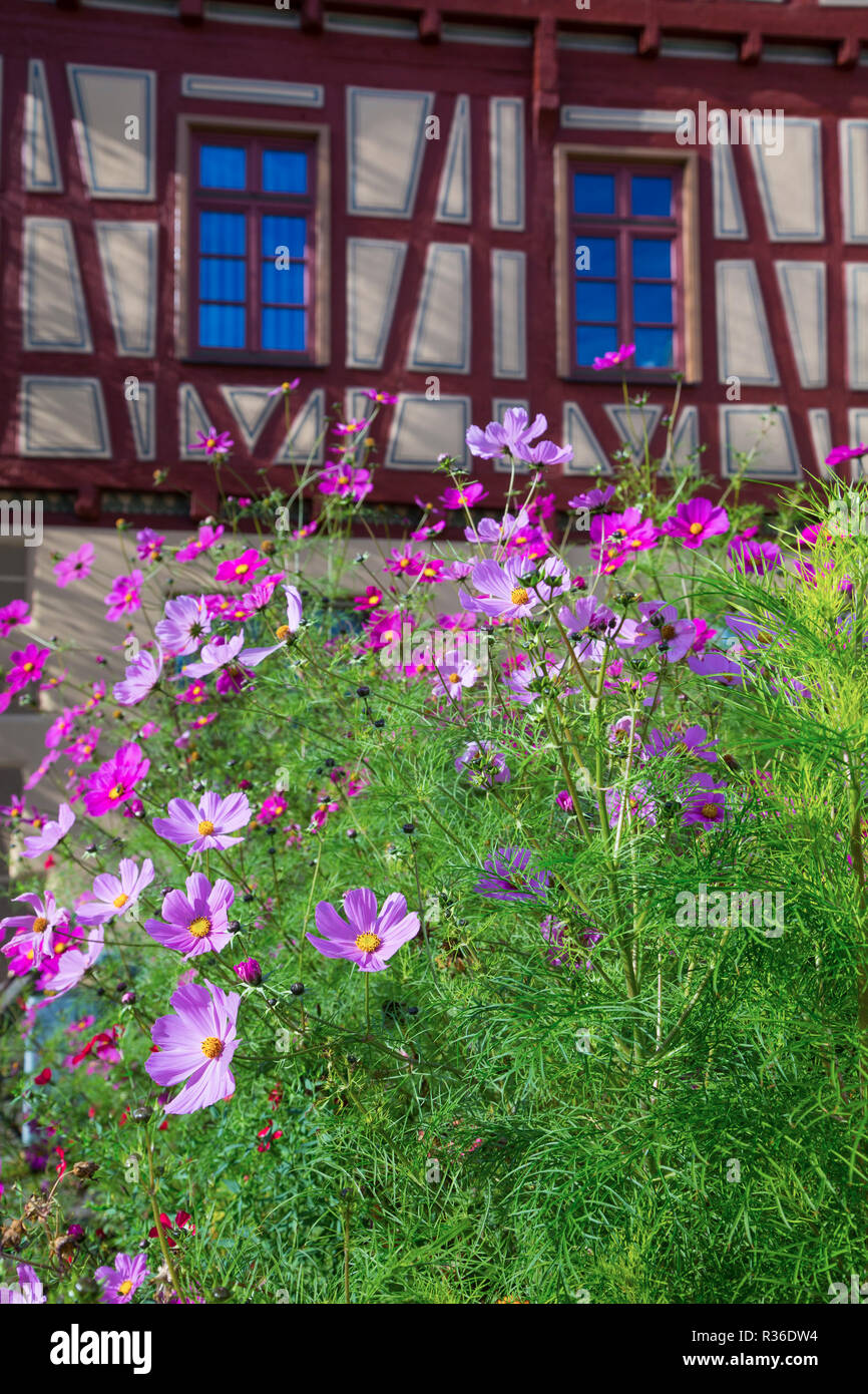 Truss flowers hi-res stock photography and images - Alamy
