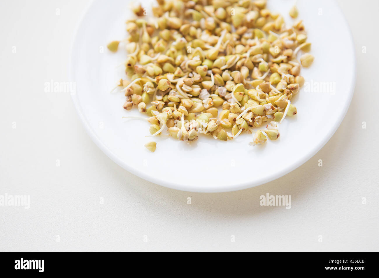 sprouted buckwheat grains on a plate, healthy food, fitness, sports ...
