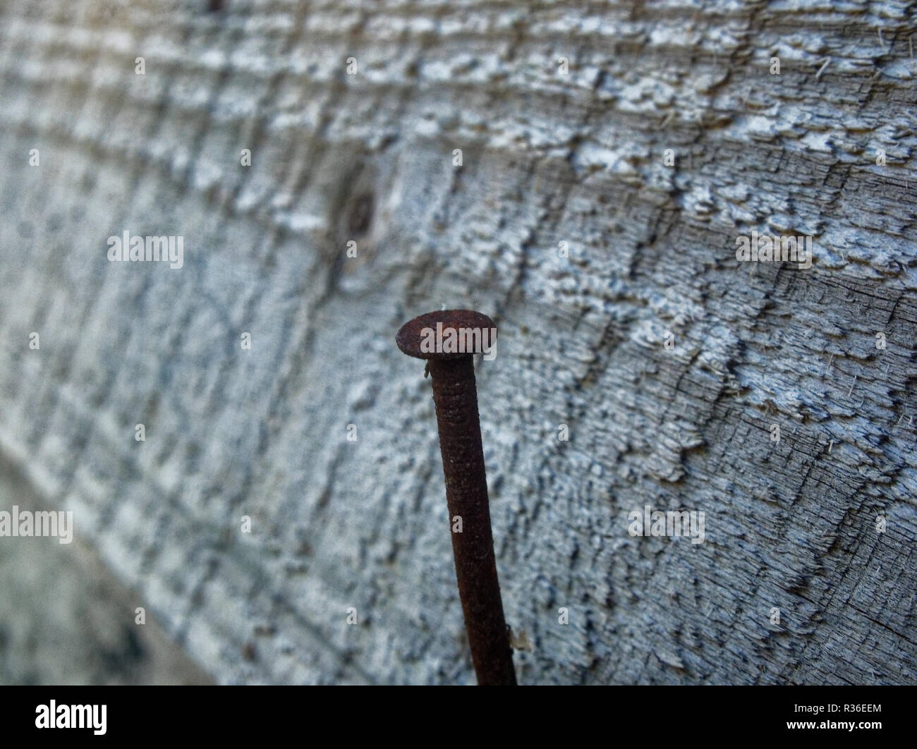 nail driven into the wall of the house, Russia Stock Photo - Alamy
