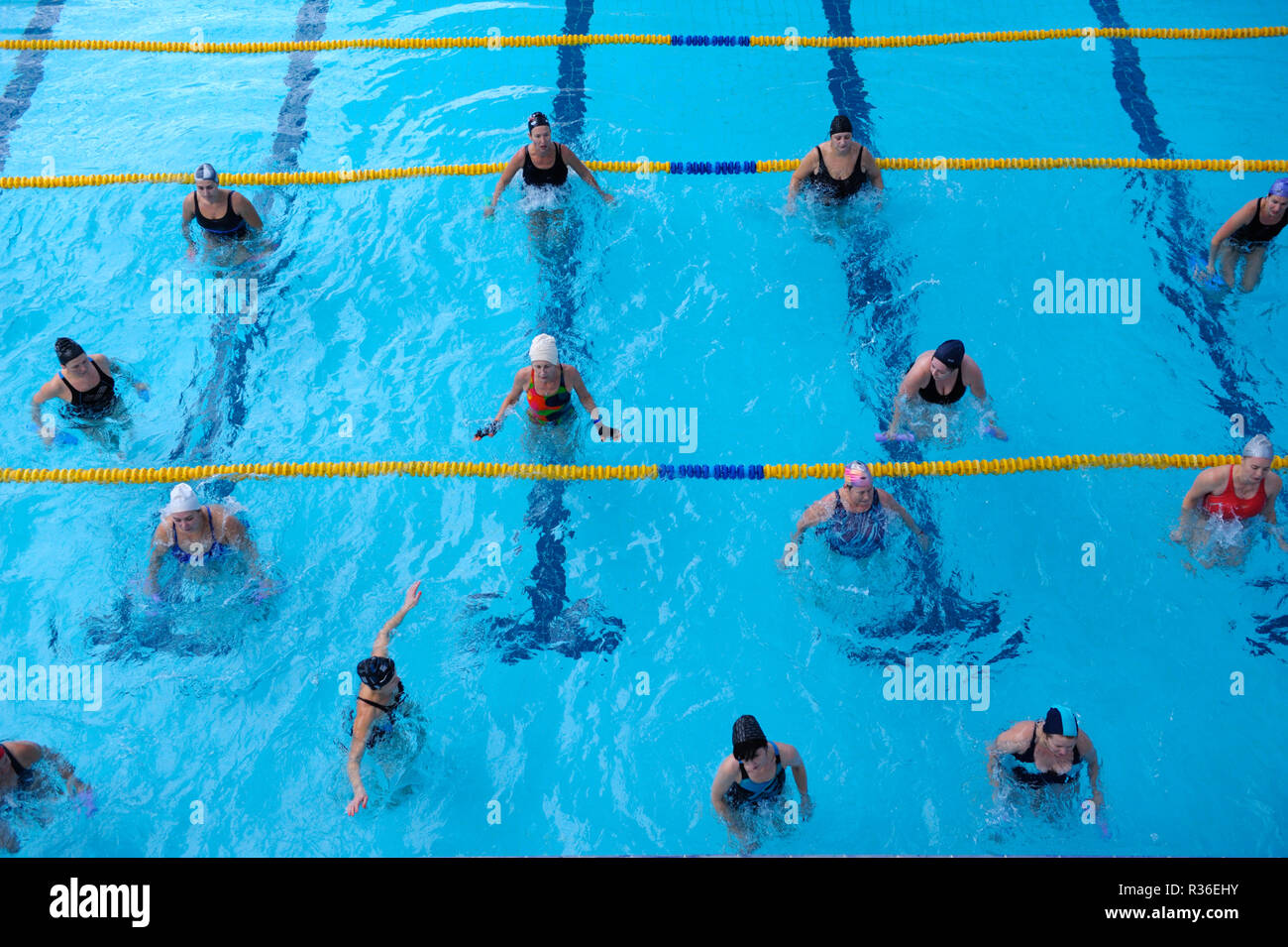 Learning swimming: group of women in bathing suits standing on paths of ...