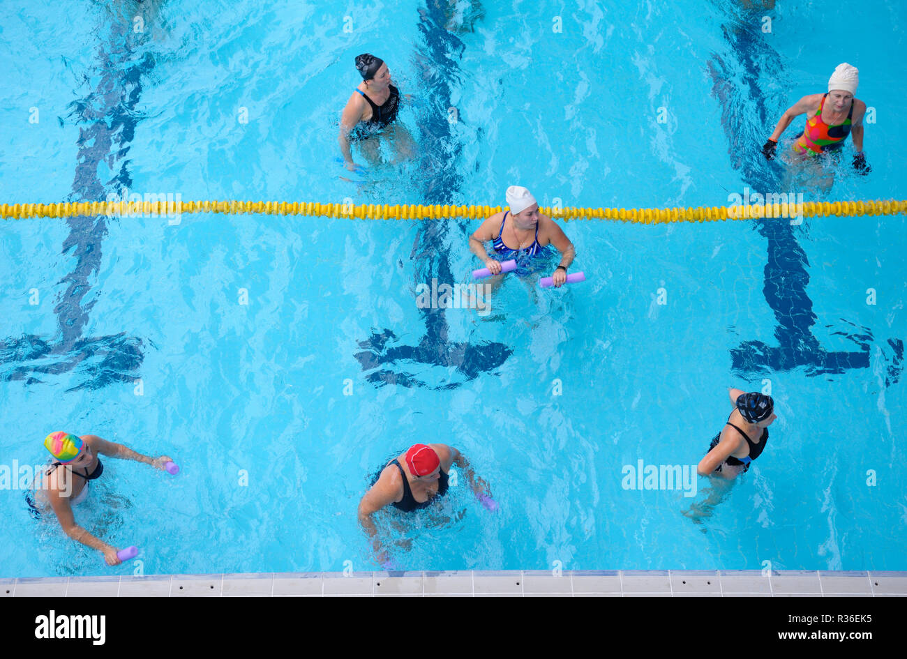 Learning swimming: group of women in bathing suits standing on paths of ...