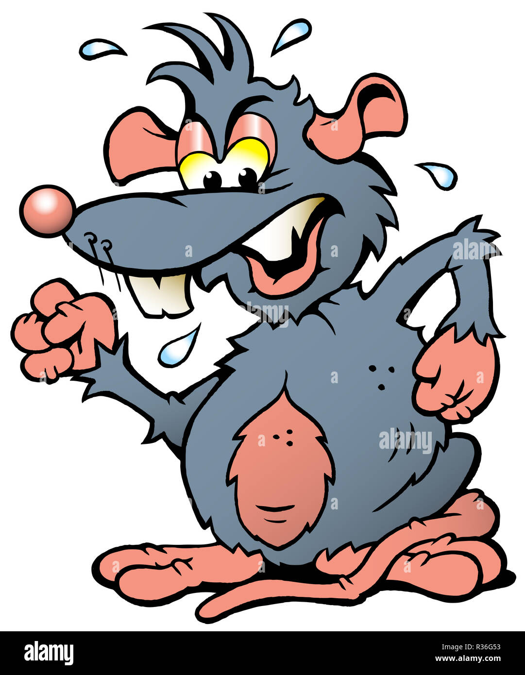 Angry rat hi-res stock photography and images - Alamy