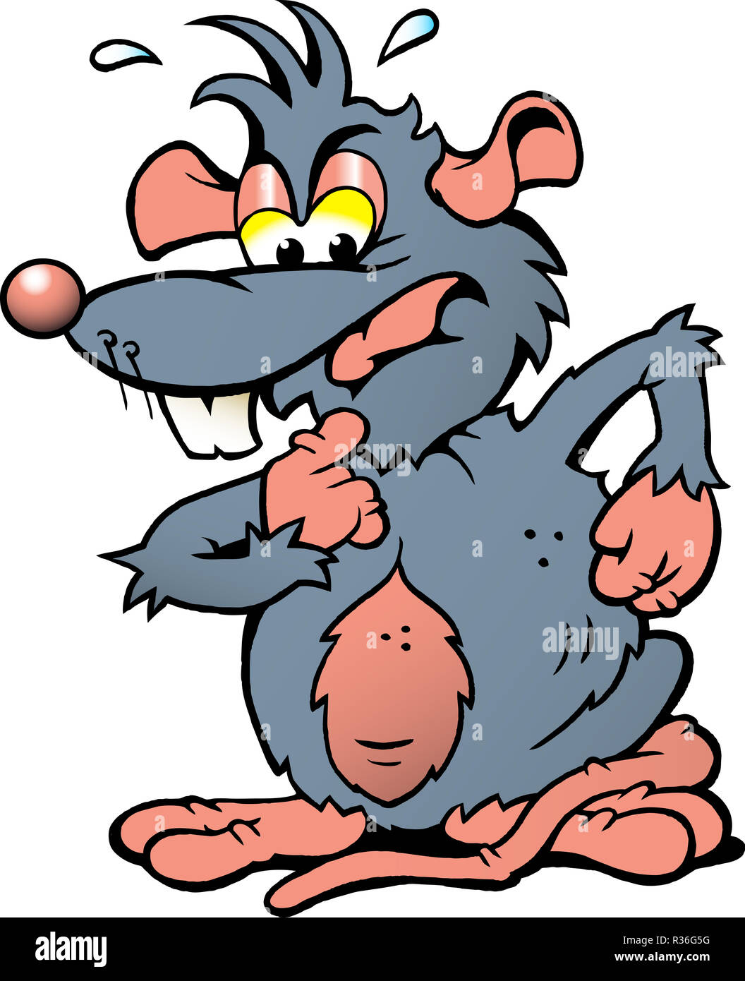 Angry rat hi-res stock photography and images - Alamy