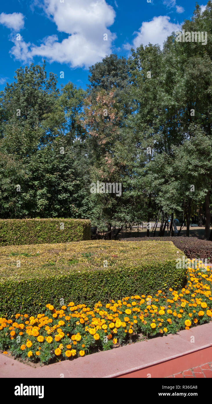 SOFIA, BULGARIA - SEPTEMBER 26, 2018: Landscape with Trees and gardens ...