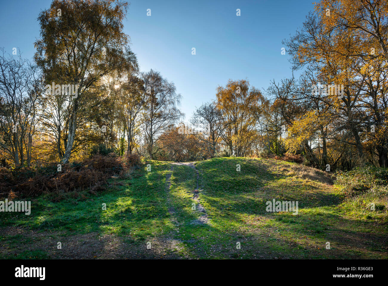 Petersfield Heath Bronze Age barrow cemetery, Hampshire, UK Stock Photo ...
