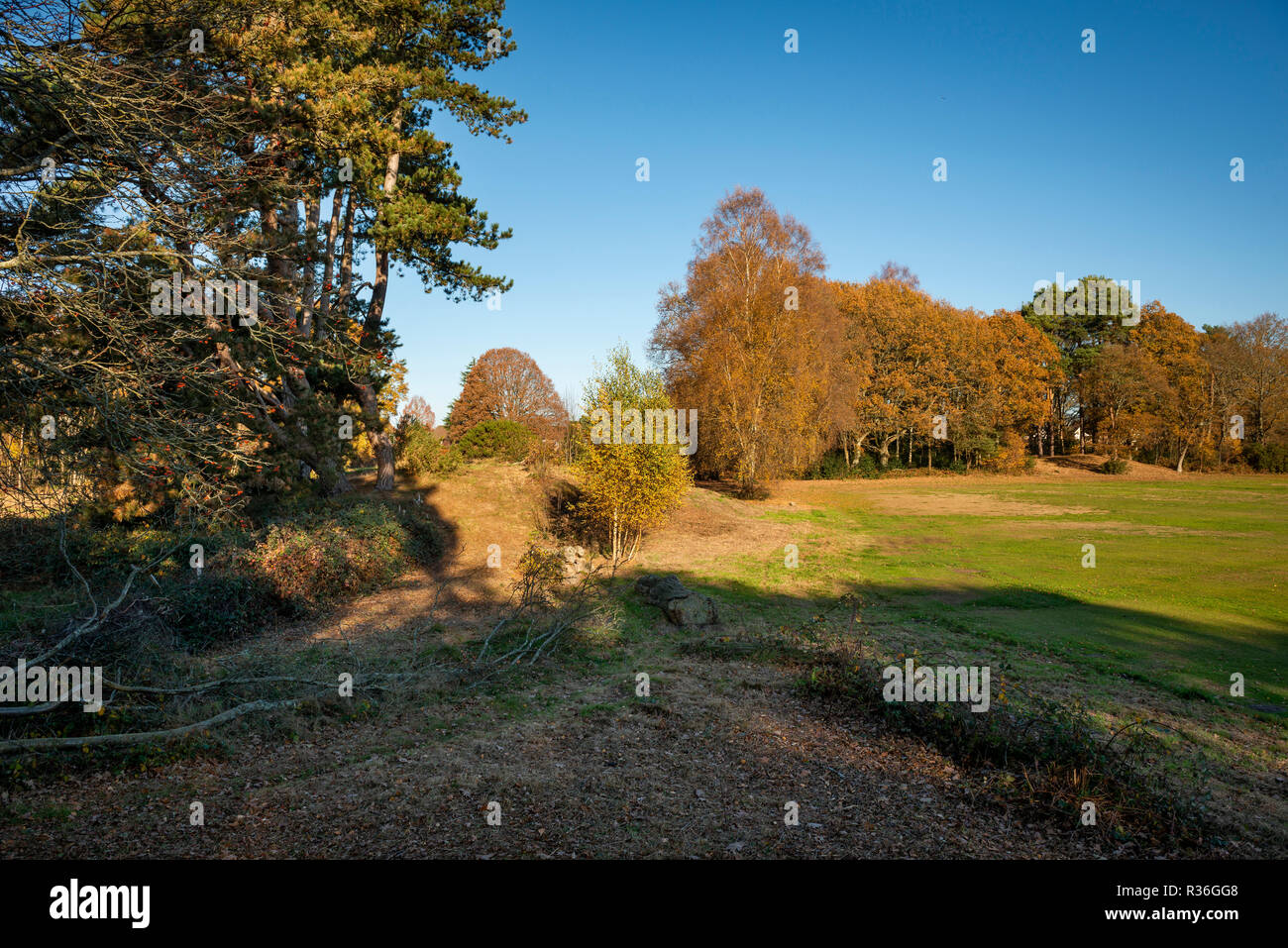 Petersfield Heath Bronze Age barrow cemetery, Hampshire, UK Stock Photo ...