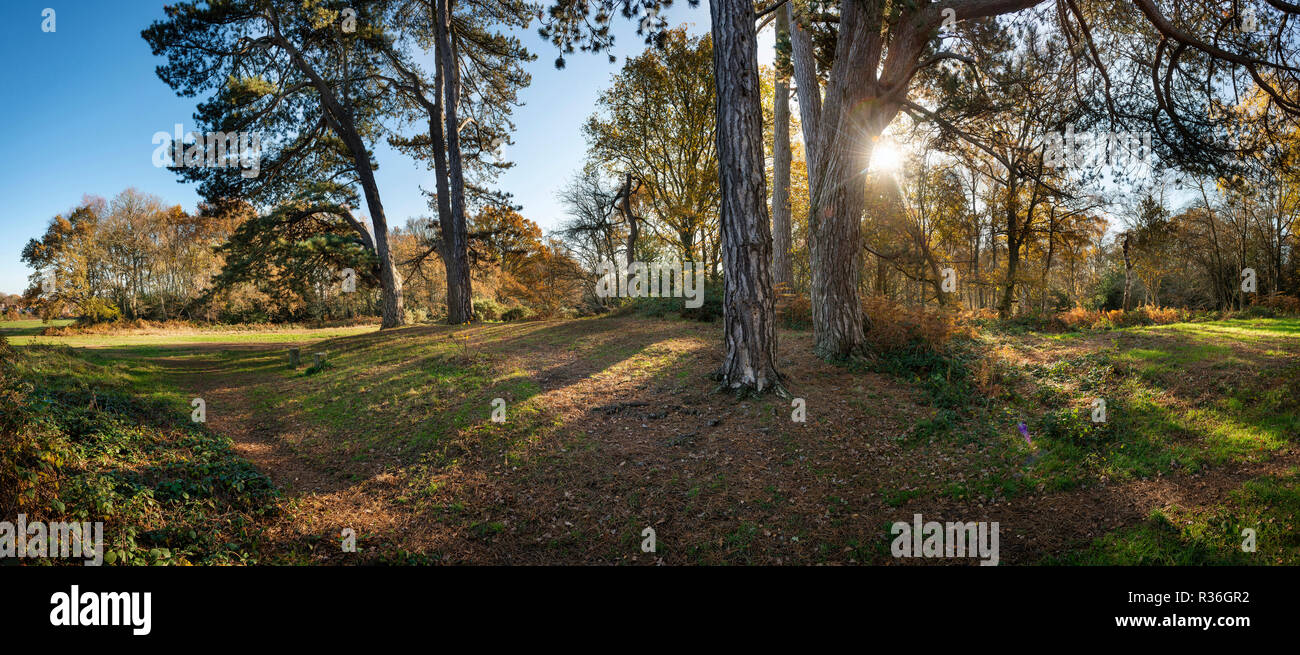 Petersfield Heath Bronze Age barrow cemetery, Hampshire, UK Stock Photo ...