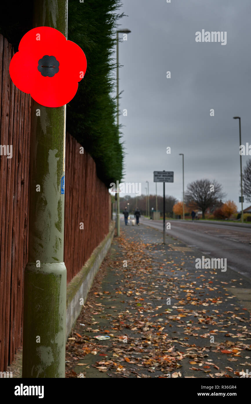 Poppy remembrance day 2018 hi-res stock photography and images - Alamy