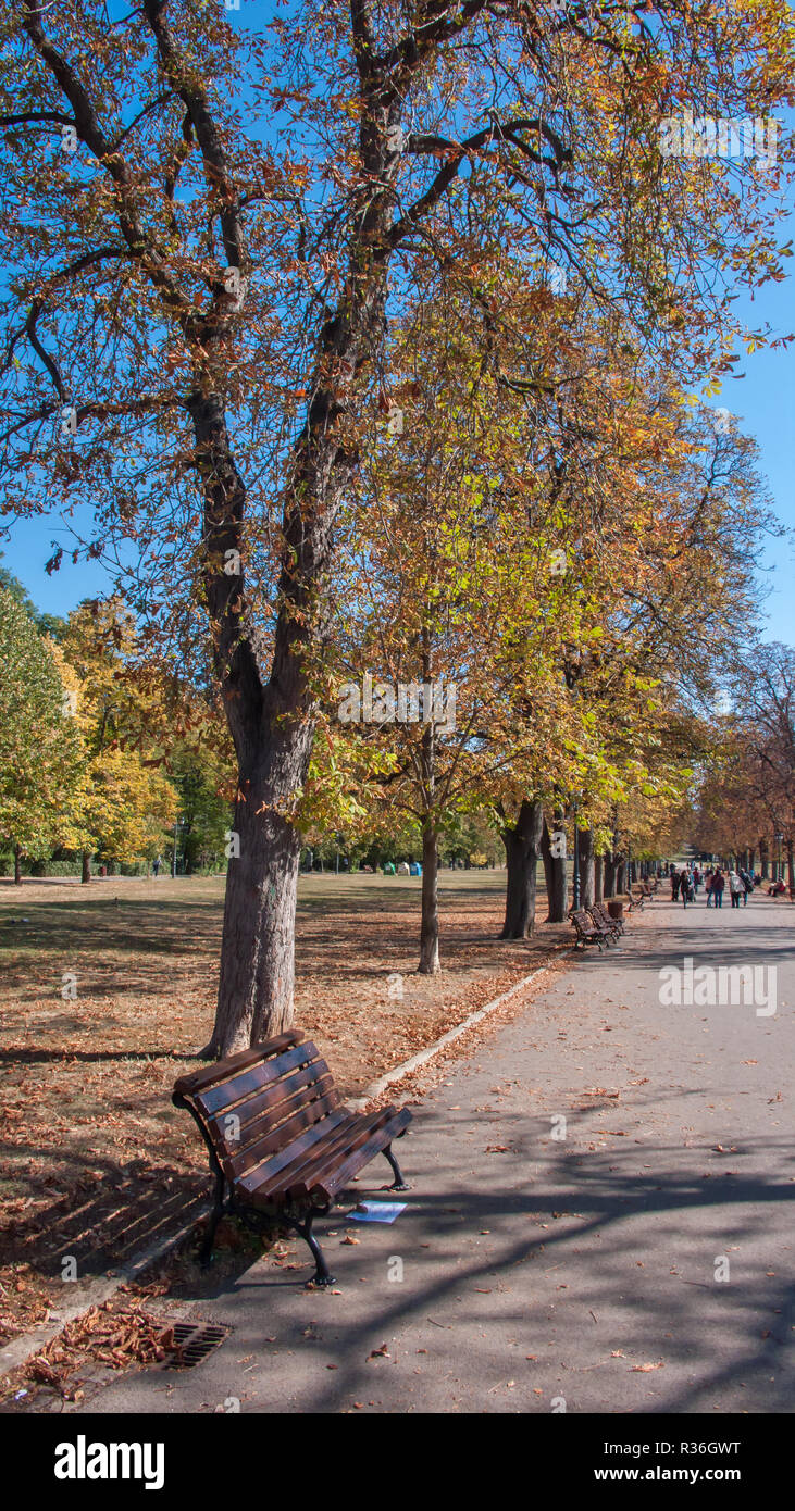 SOFIA, BULGARIA - OCTOBER 5, 2018: Landscape with Trees and gardens at ...