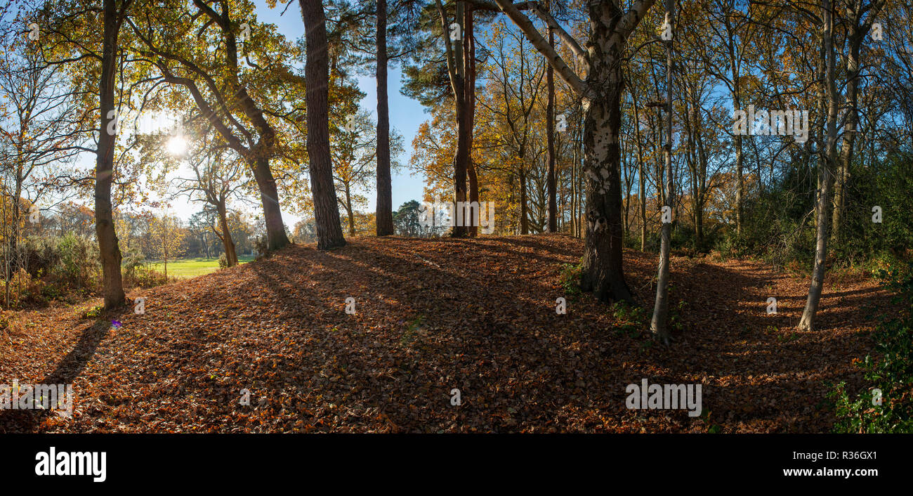 Petersfield Heath Bronze Age barrow cemetery, Hampshire, UK Stock Photo ...