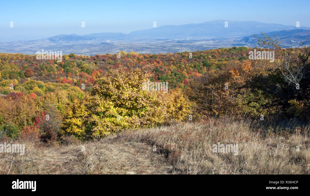 Amazing Autumn landscape of Cherna Gora (Monte Negro) mountain, Pernik ...