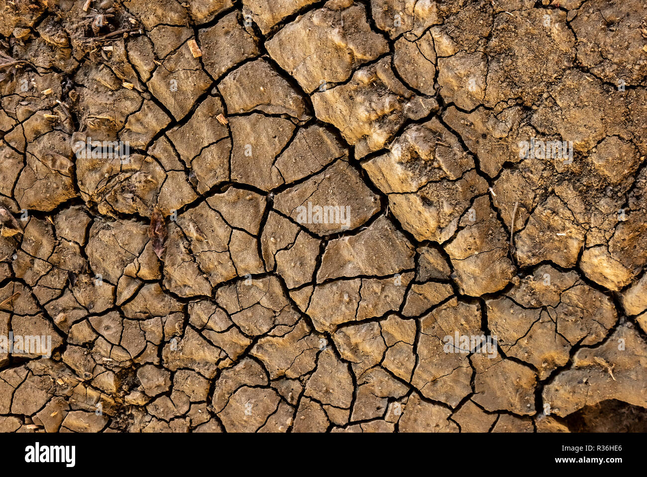 Dry cracked soil, close up Stock Photo - Alamy