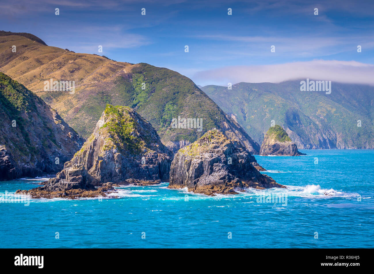 Cook strait new zealand hi-res stock photography and images - Alamy