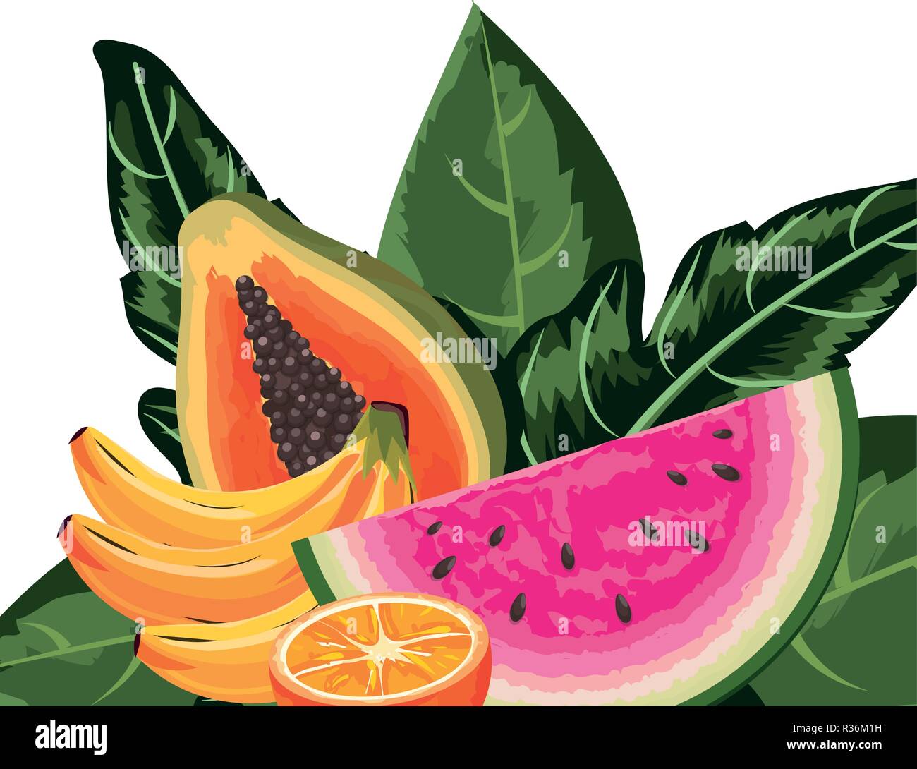 Papaya Cartoon Images