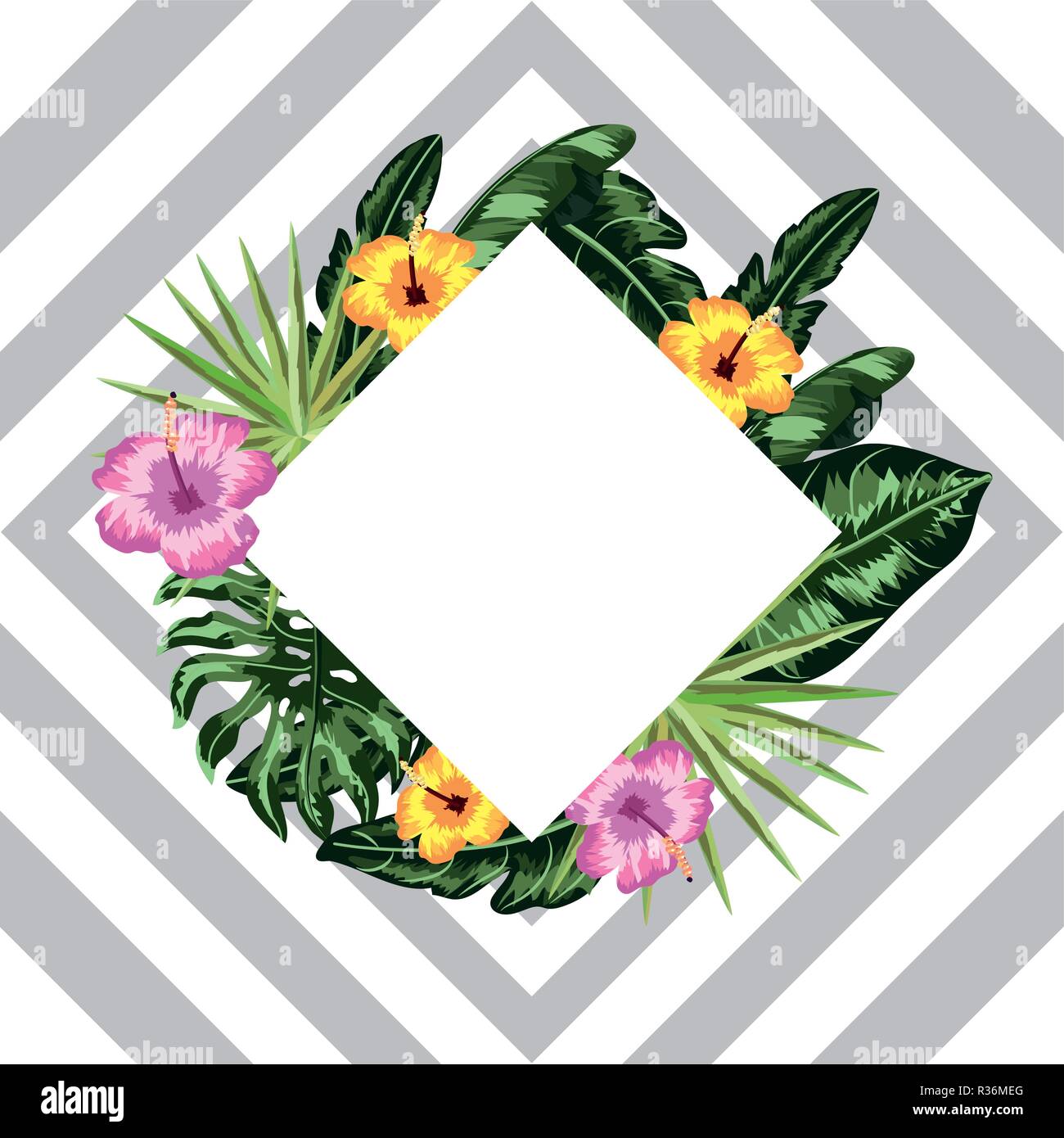 seamless floral pattern diamond cartoon vector illustration graphic ...