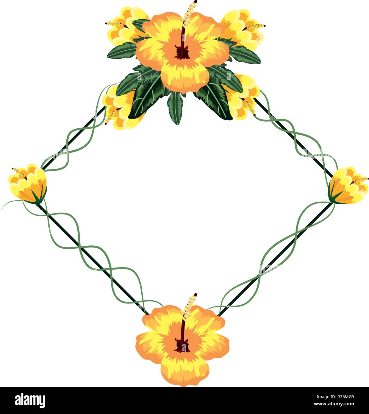 seamless floral pattern flower diamond cartoon vector illustration ...