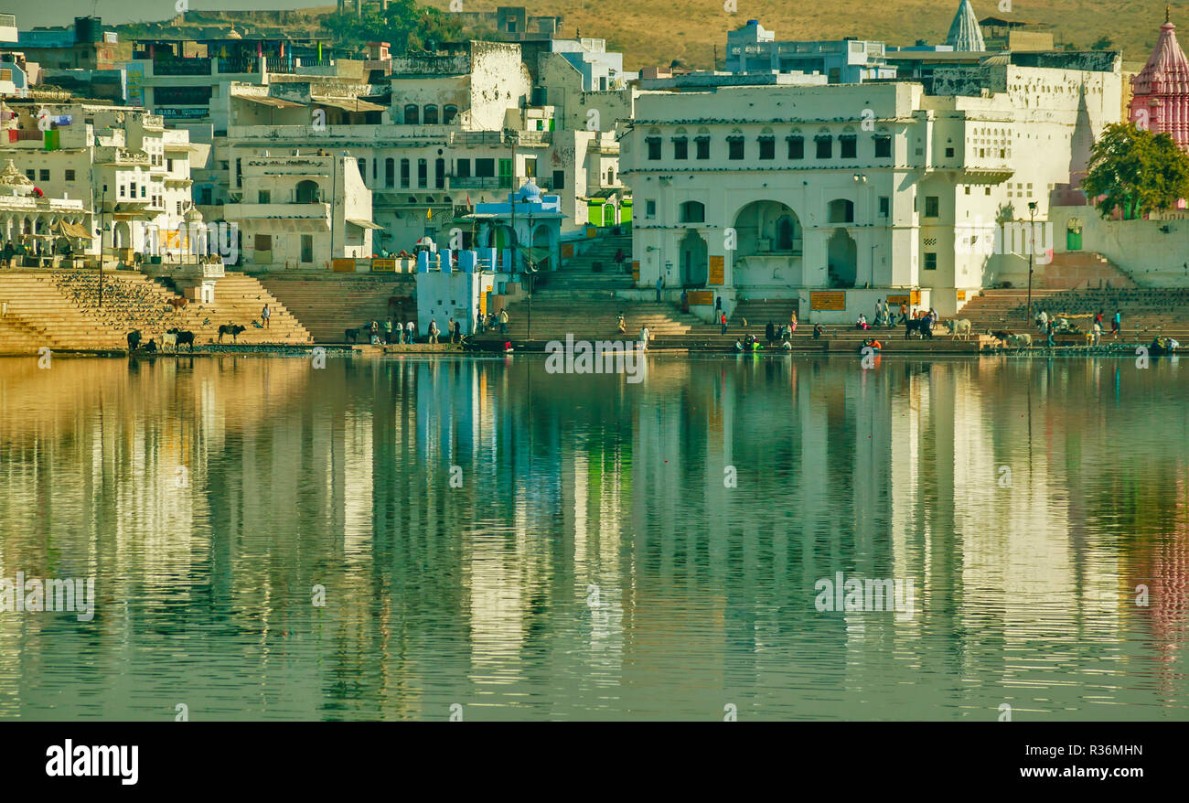 RAJASTHAN INDIA PUSHKAR BUILDINGS AND GHATS AROUND THE SACRED LAKE COWS ...