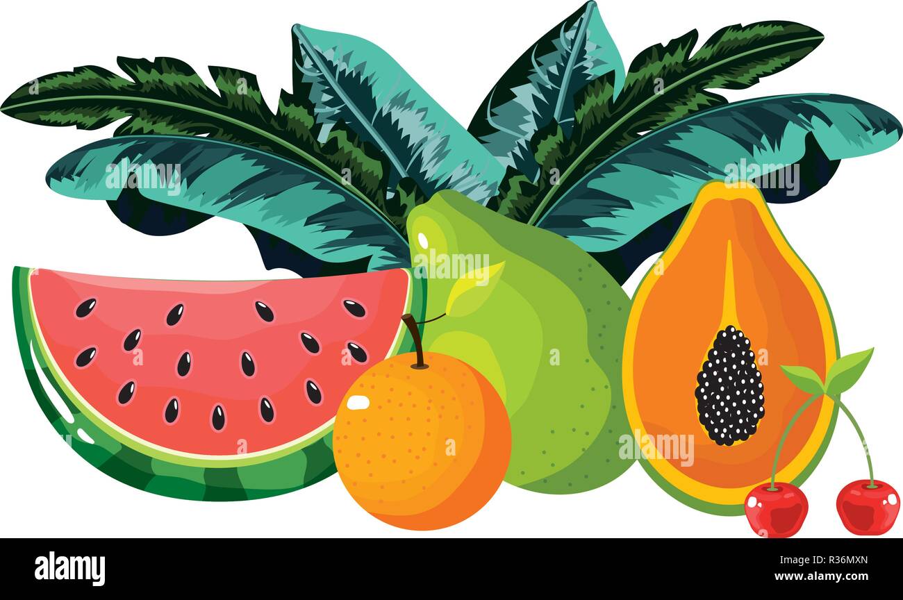 Tropical Fruit Clipart