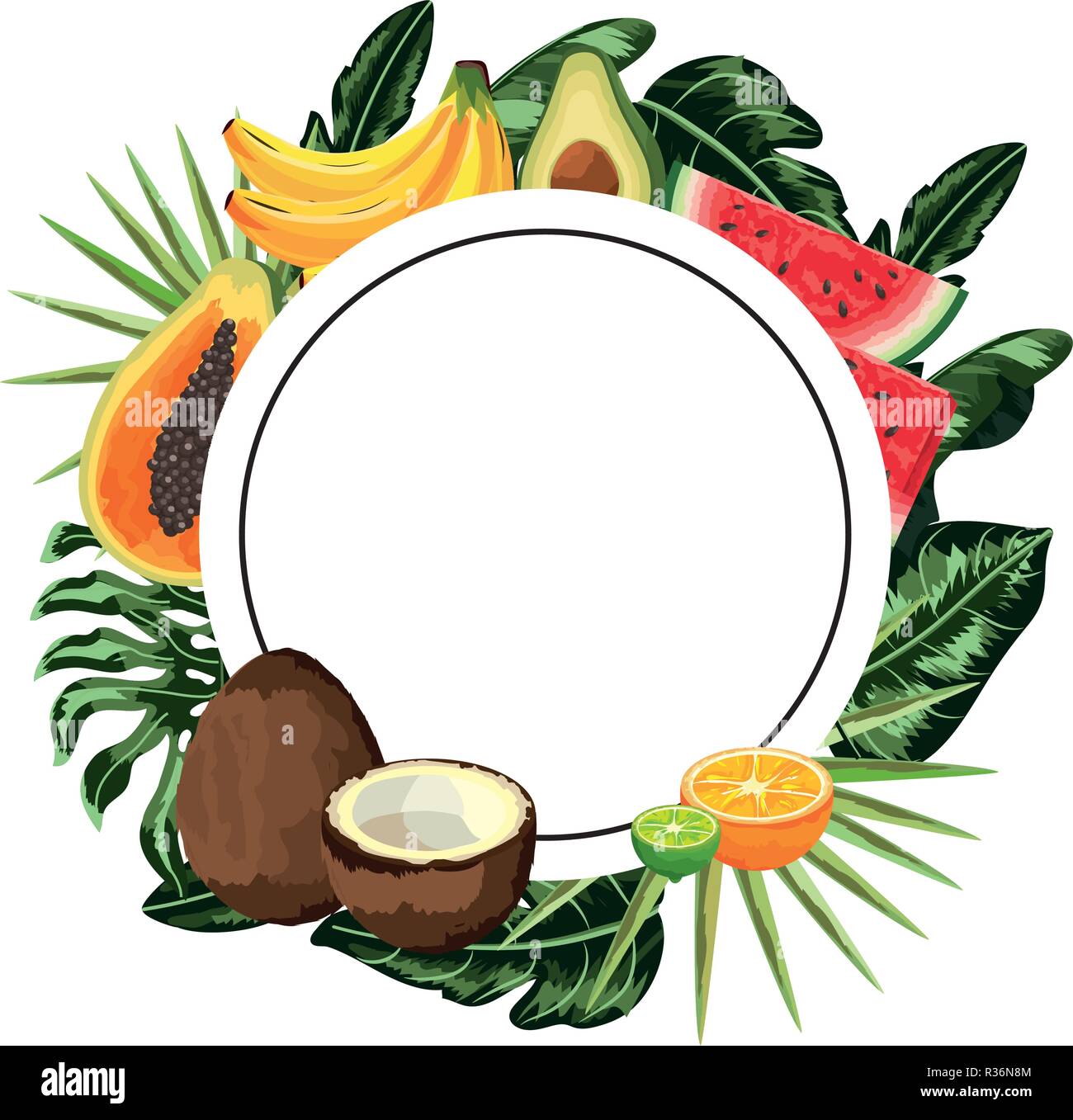 tropical fruit round icon cartoon vector illustration graphic design ...
