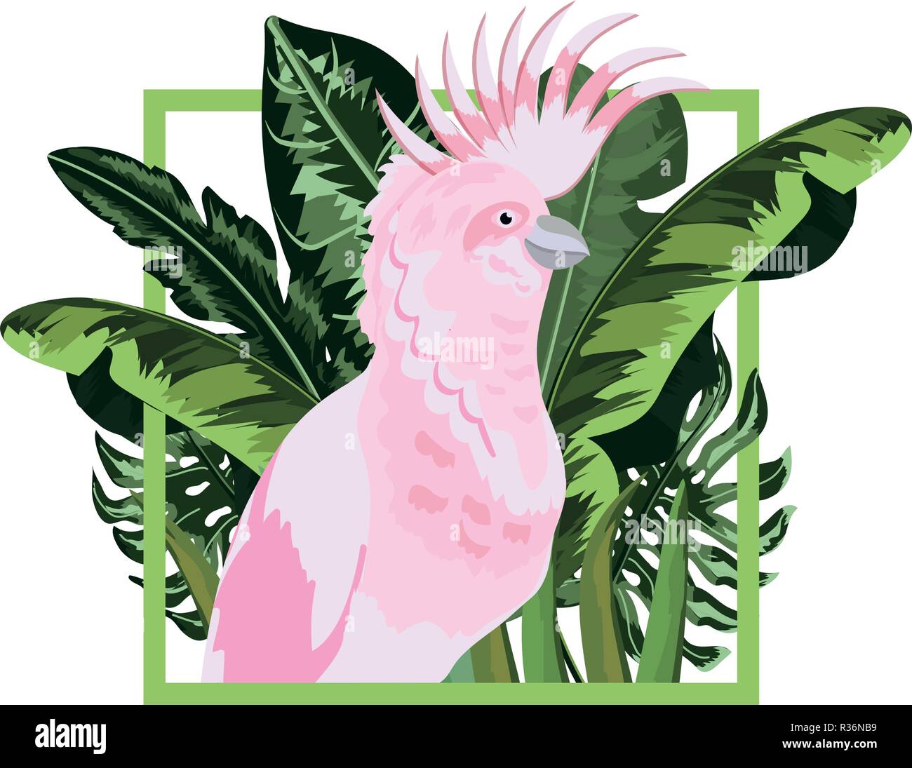 seamless floral pattern bird square cartoon vector illustration graphic ...