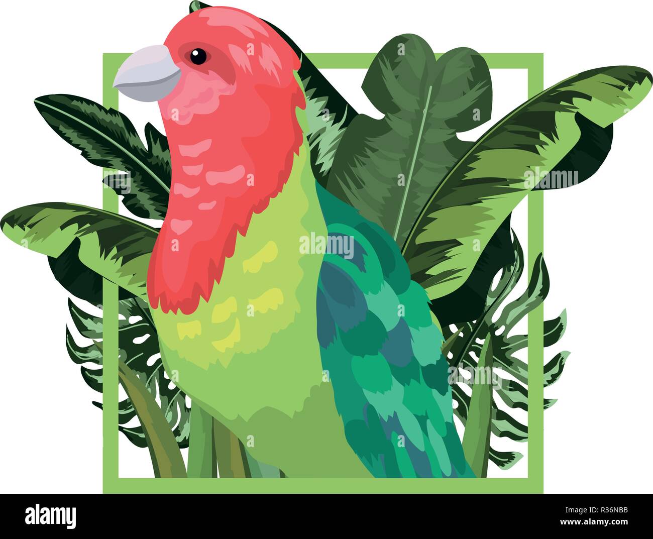 seamless floral pattern with color bird square cartoon vector ...