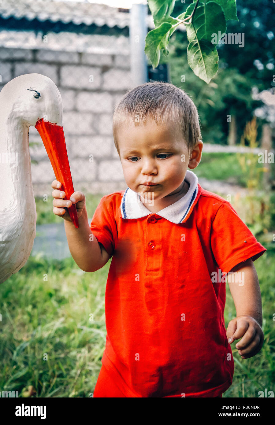 The child took the beak of a stork and holds onto it Stock Photo - Alamy