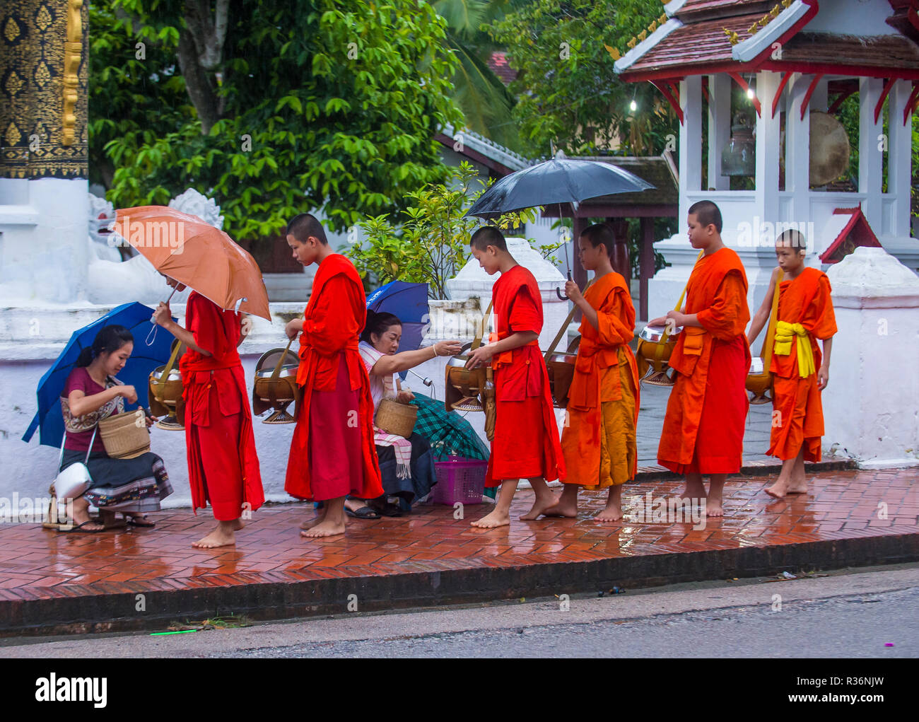 Buddhist alms giving ceremony in Luang Prabang Laos Stock Photo - Alamy