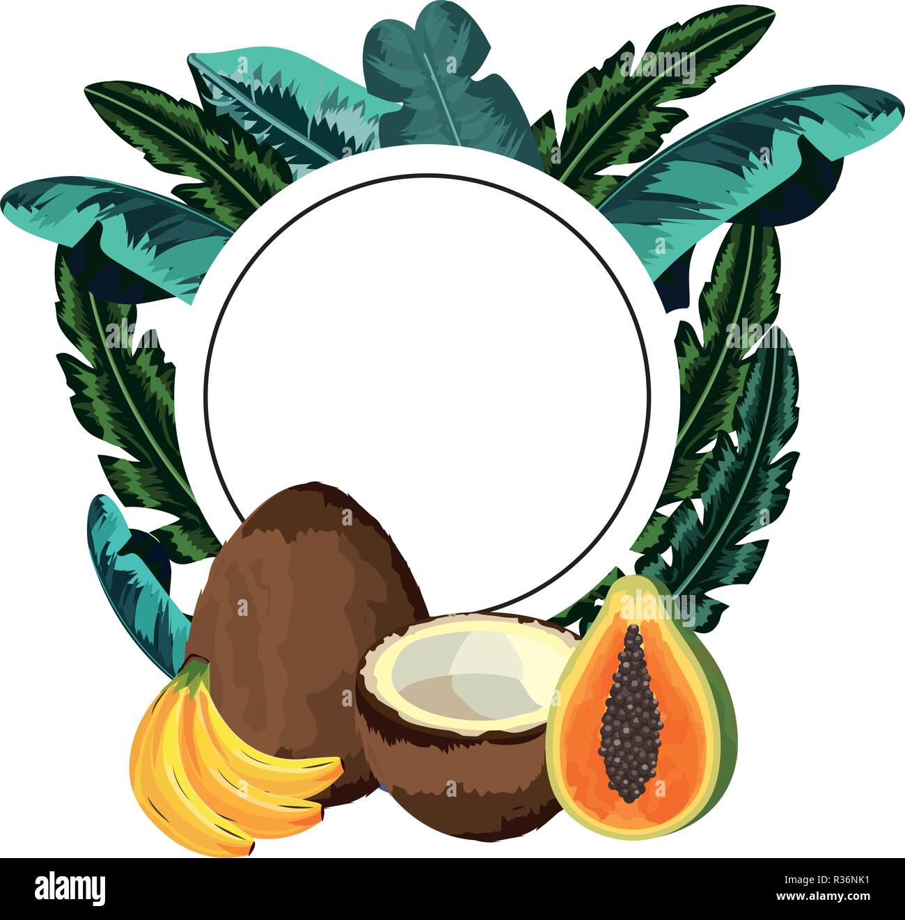 tropical fruit round icon cartoon vector illustration graphic design ...