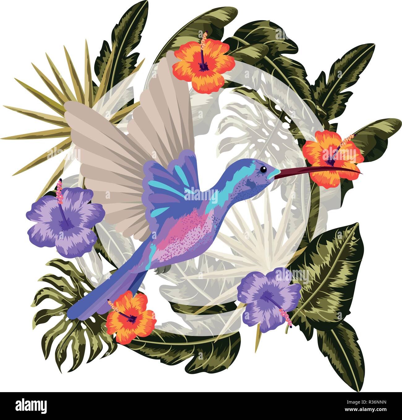 Hummingbirds Graphic Design