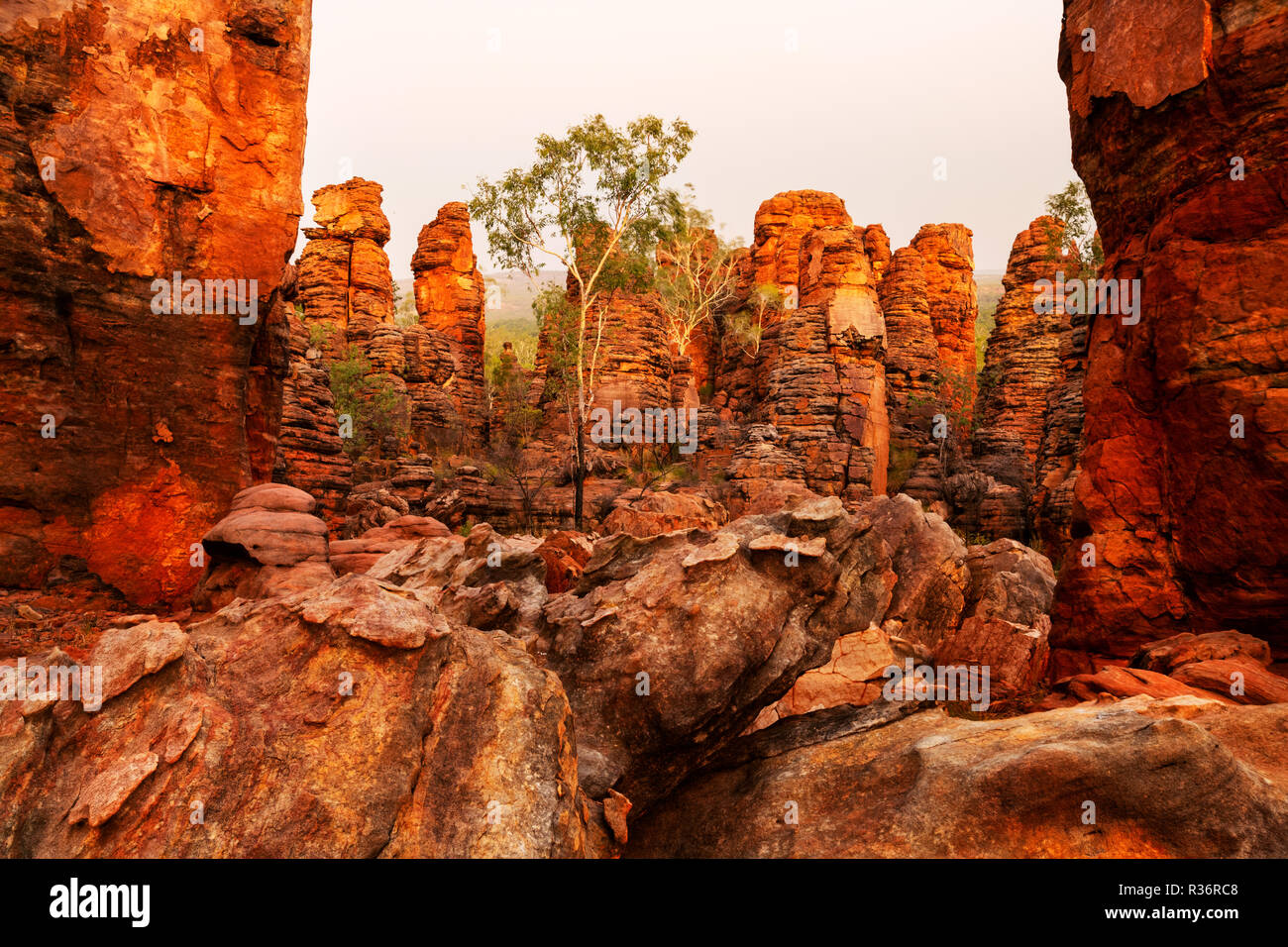 Limmen national park hi-res stock photography and images - Alamy