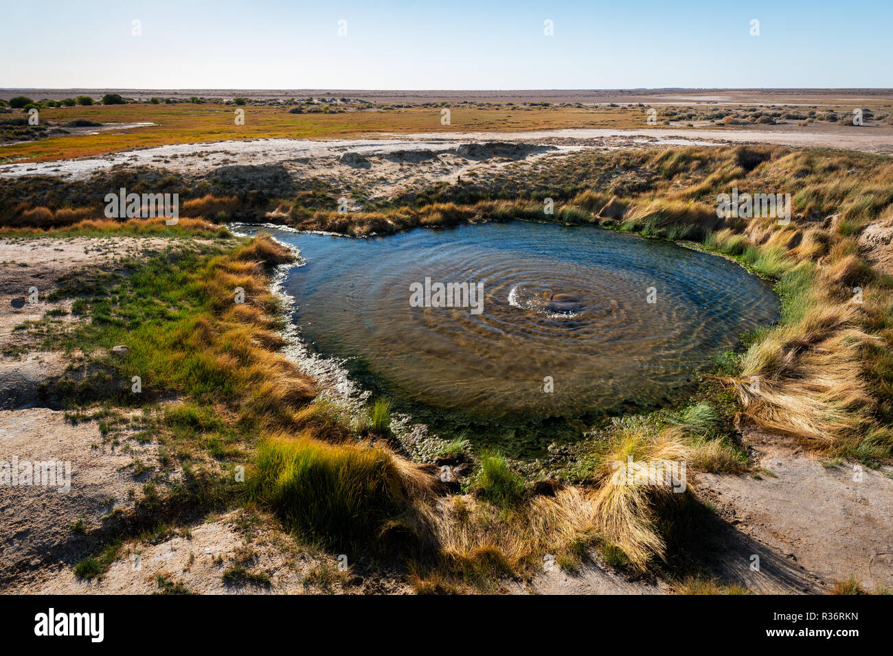 Bubbler mound spring hi-res stock photography and images - Alamy