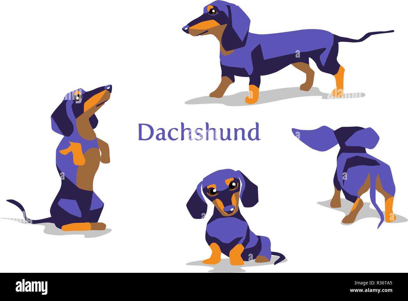 Cartoon Dachshund High Resolution Stock Photography and Images - Alamy