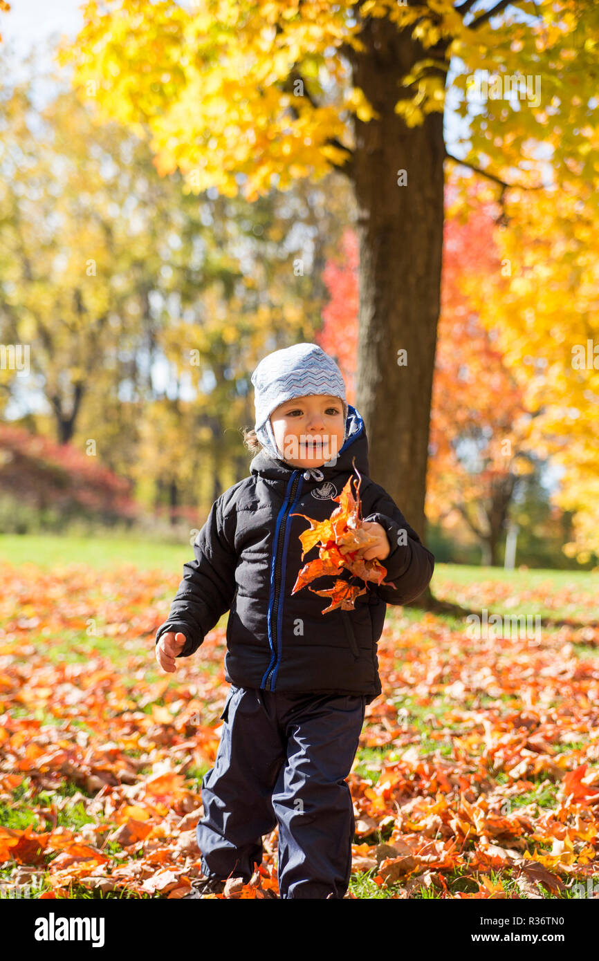 cute baby boy in autumn decor Stock Photo - Alamy