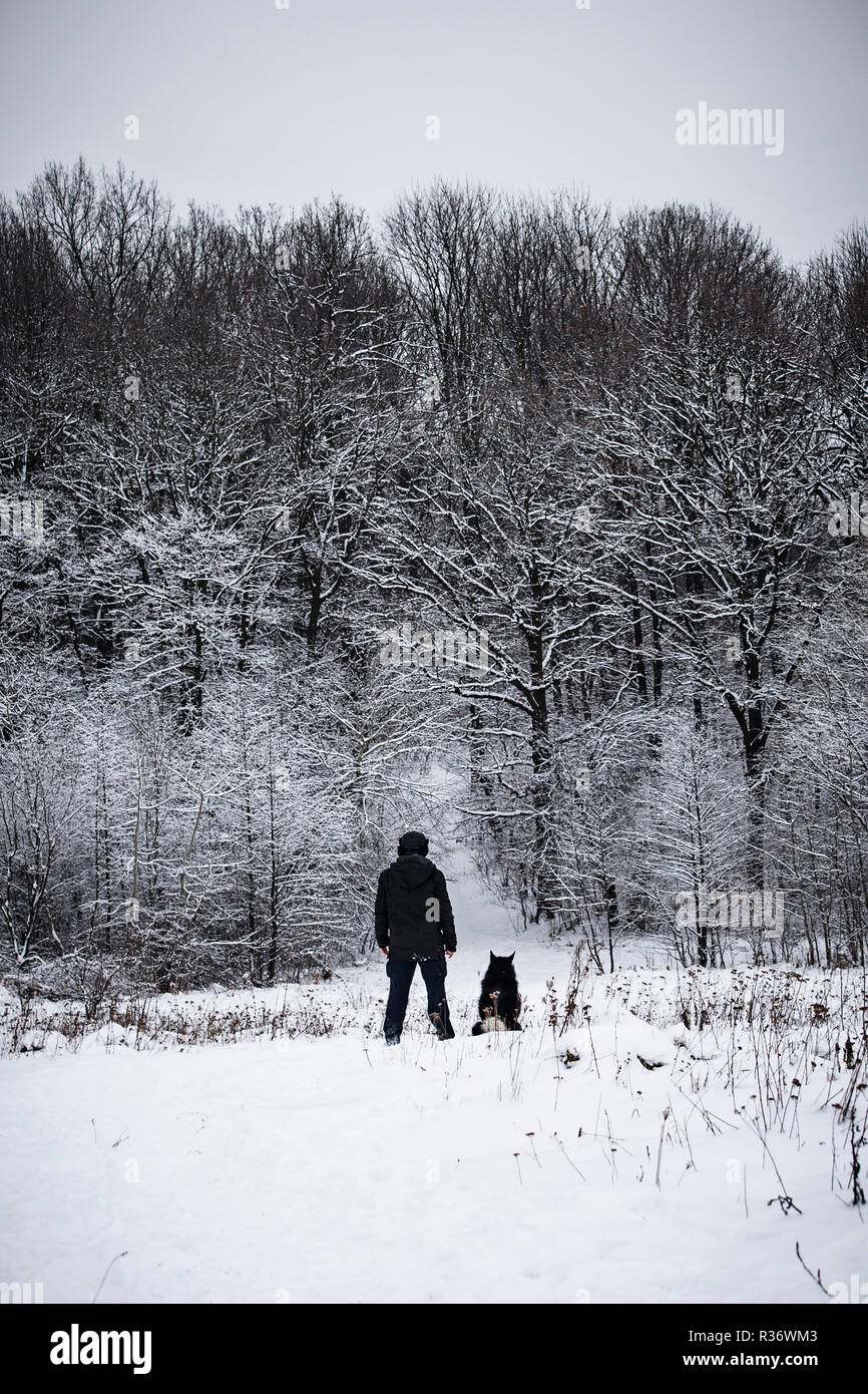 Man walking with his dog in winter forest Stock Photo - Alamy