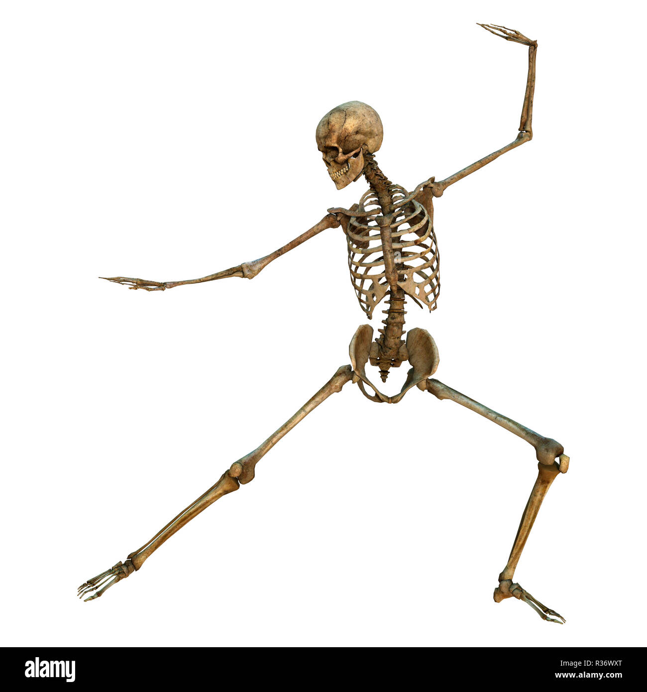 Fighting skeleton Cut Out Stock Images & Pictures - Alamy