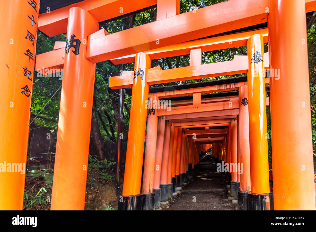 Red Torii gates in Fushimi Inari shrine in Kyoto, Japan Stock Photo - Alamy