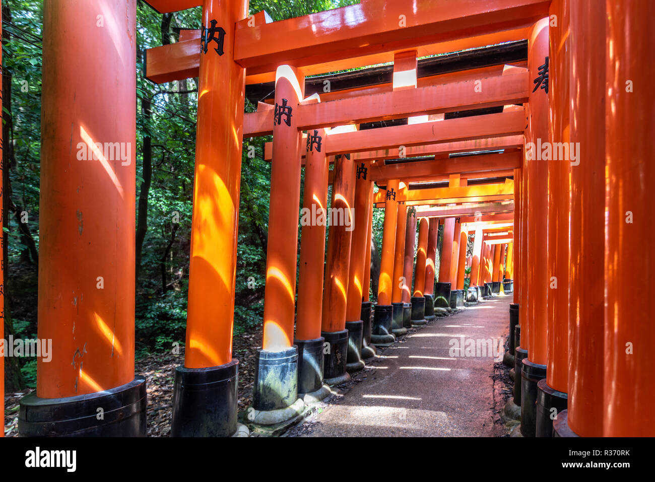 Red Torii gates in Fushimi Inari shrine in Kyoto, Japan Stock Photo - Alamy