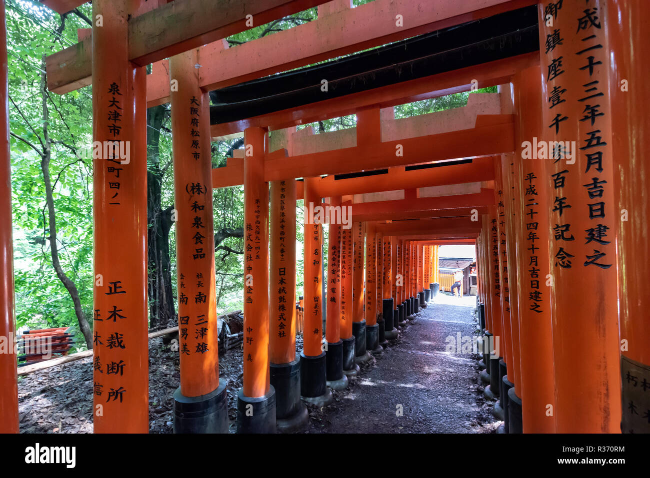 Red Torii gates in Fushimi Inari shrine in Kyoto, Japan Stock Photo - Alamy