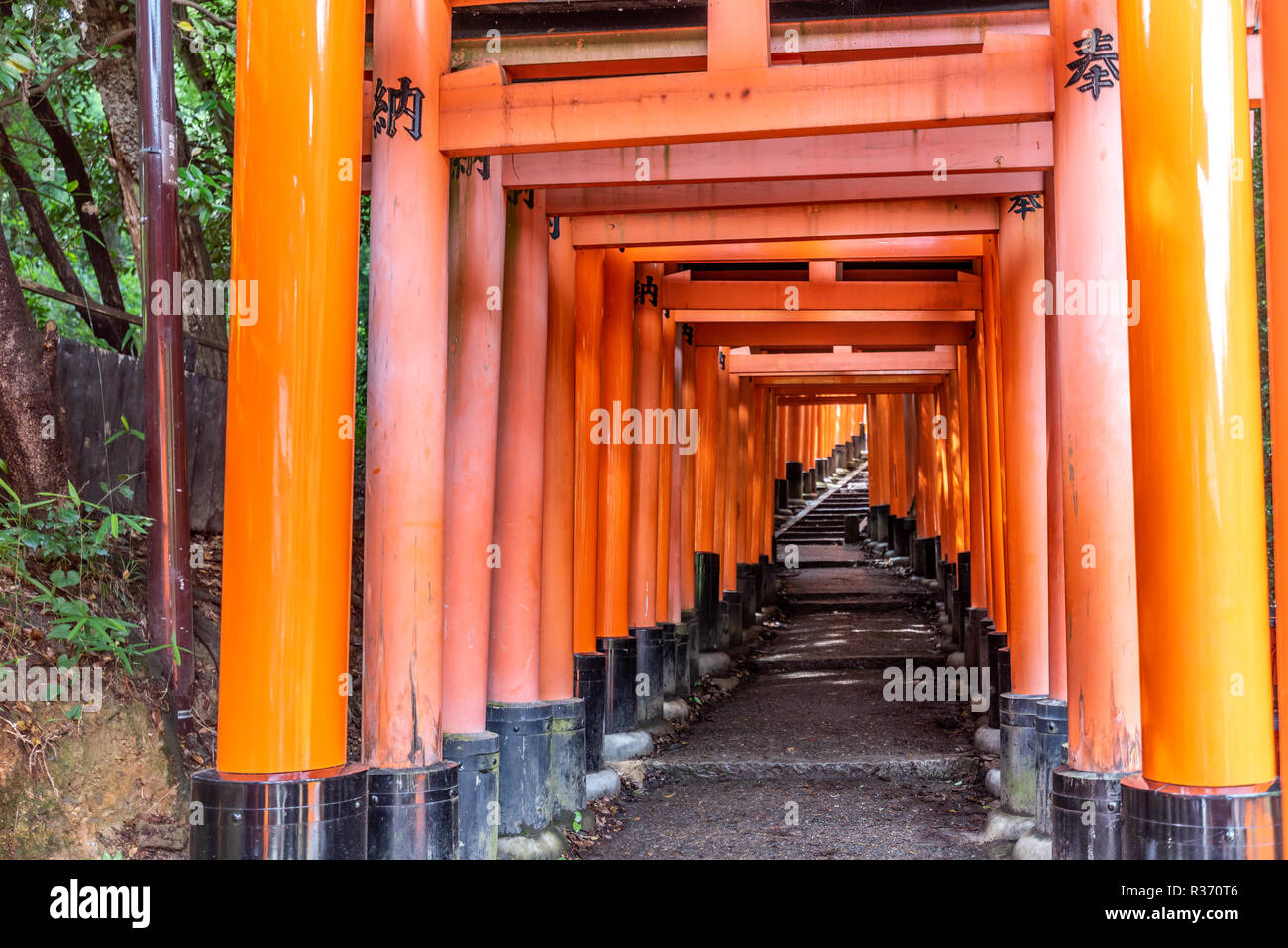 Red Torii gates in Fushimi Inari shrine in Kyoto, Japan Stock Photo - Alamy