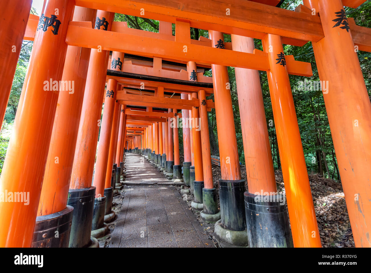 Red Torii gates in Fushimi Inari shrine in Kyoto, Japan Stock Photo - Alamy