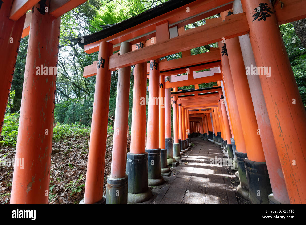 Red Torii gates in Fushimi Inari shrine in Kyoto, Japan Stock Photo - Alamy