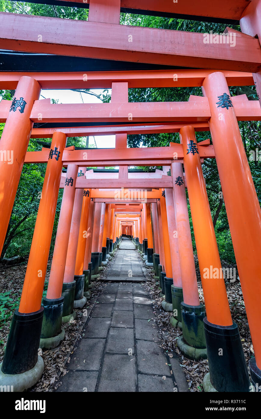 Red Torii gates in Fushimi Inari shrine in Kyoto, Japan Stock Photo - Alamy