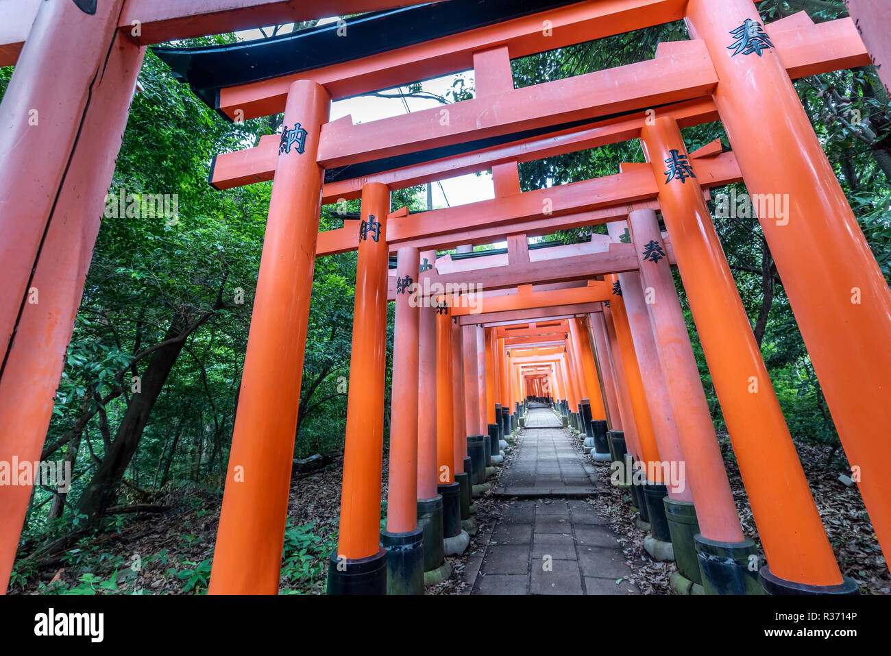 Red Torii gates in Fushimi Inari shrine in Kyoto, Japan Stock Photo - Alamy