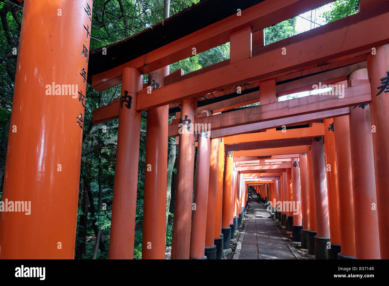 Red Torii gates in Fushimi Inari shrine in Kyoto, Japan Stock Photo - Alamy