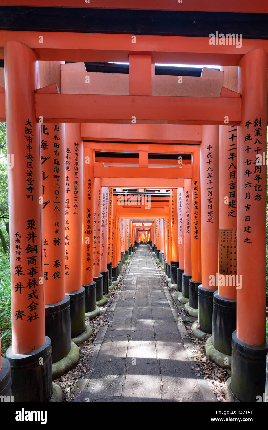 Red Torii gates in Fushimi Inari shrine in Kyoto, Japan Stock Photo - Alamy