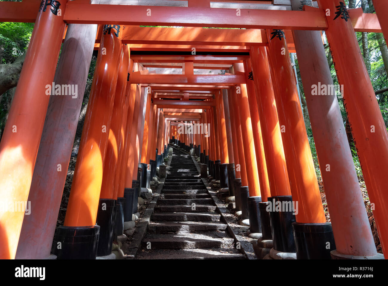 Red Torii gates in Fushimi Inari shrine in Kyoto, Japan Stock Photo - Alamy