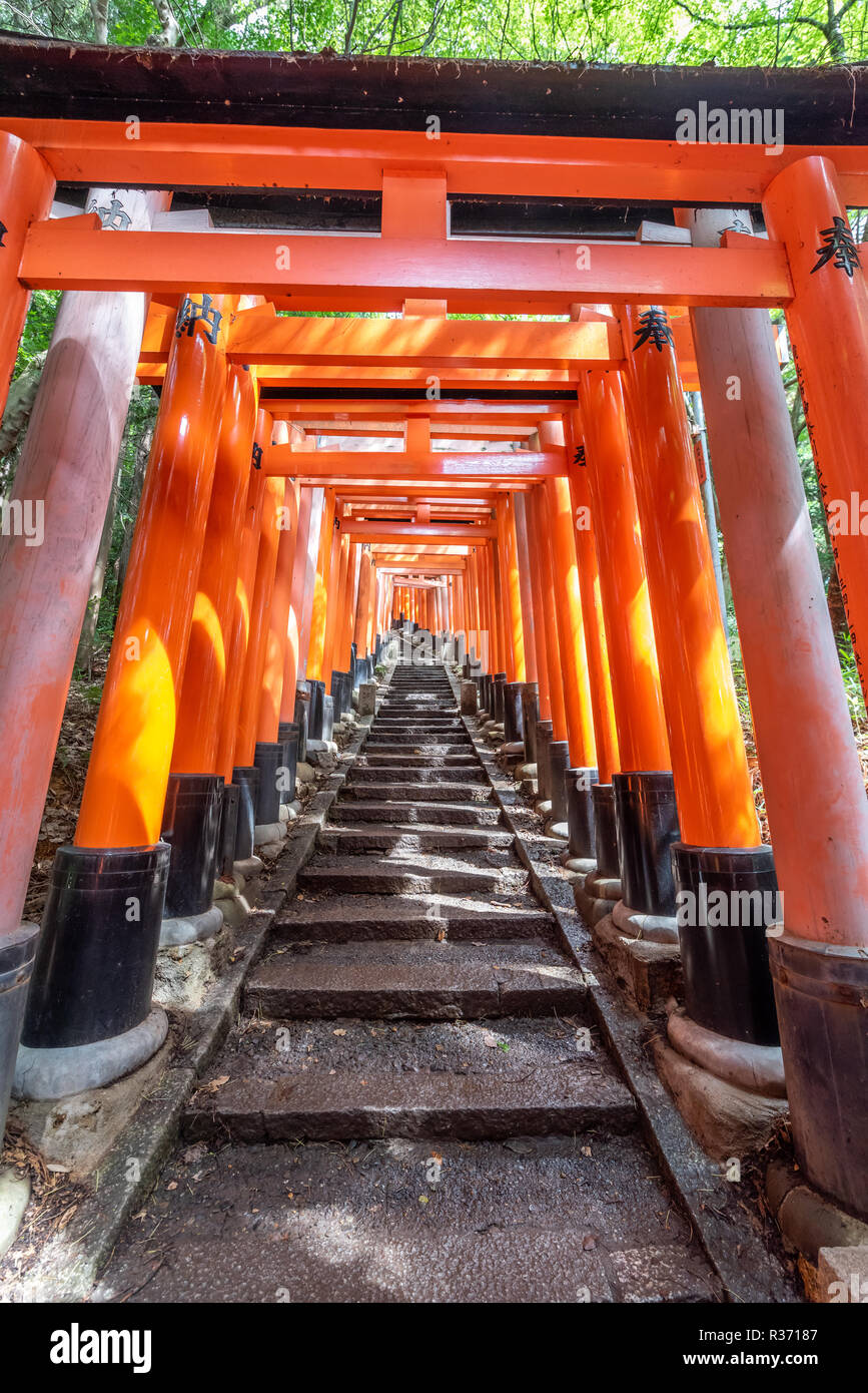 Red Torii gates in Fushimi Inari shrine in Kyoto, Japan Stock Photo - Alamy