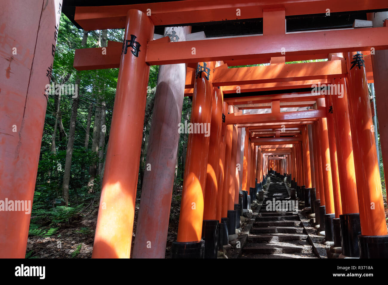 Red Torii gates in Fushimi Inari shrine in Kyoto, Japan Stock Photo - Alamy